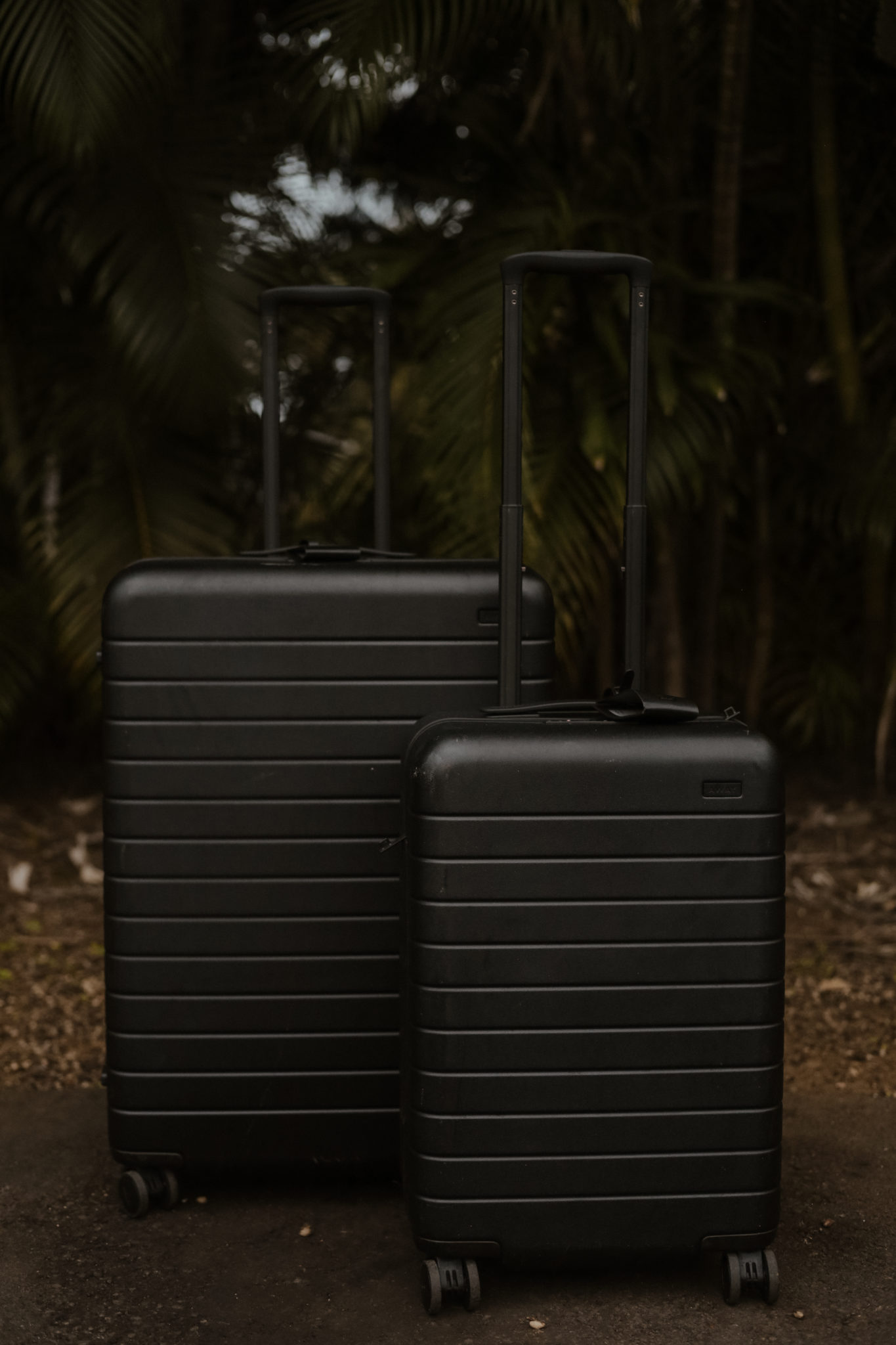 Best Travel Bag for Adventure - thewildlylife.com