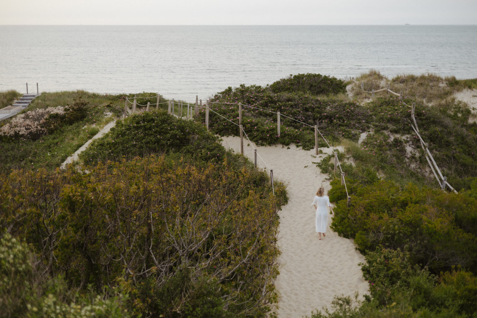 Things to do on Nantucket - thewildlylife.com