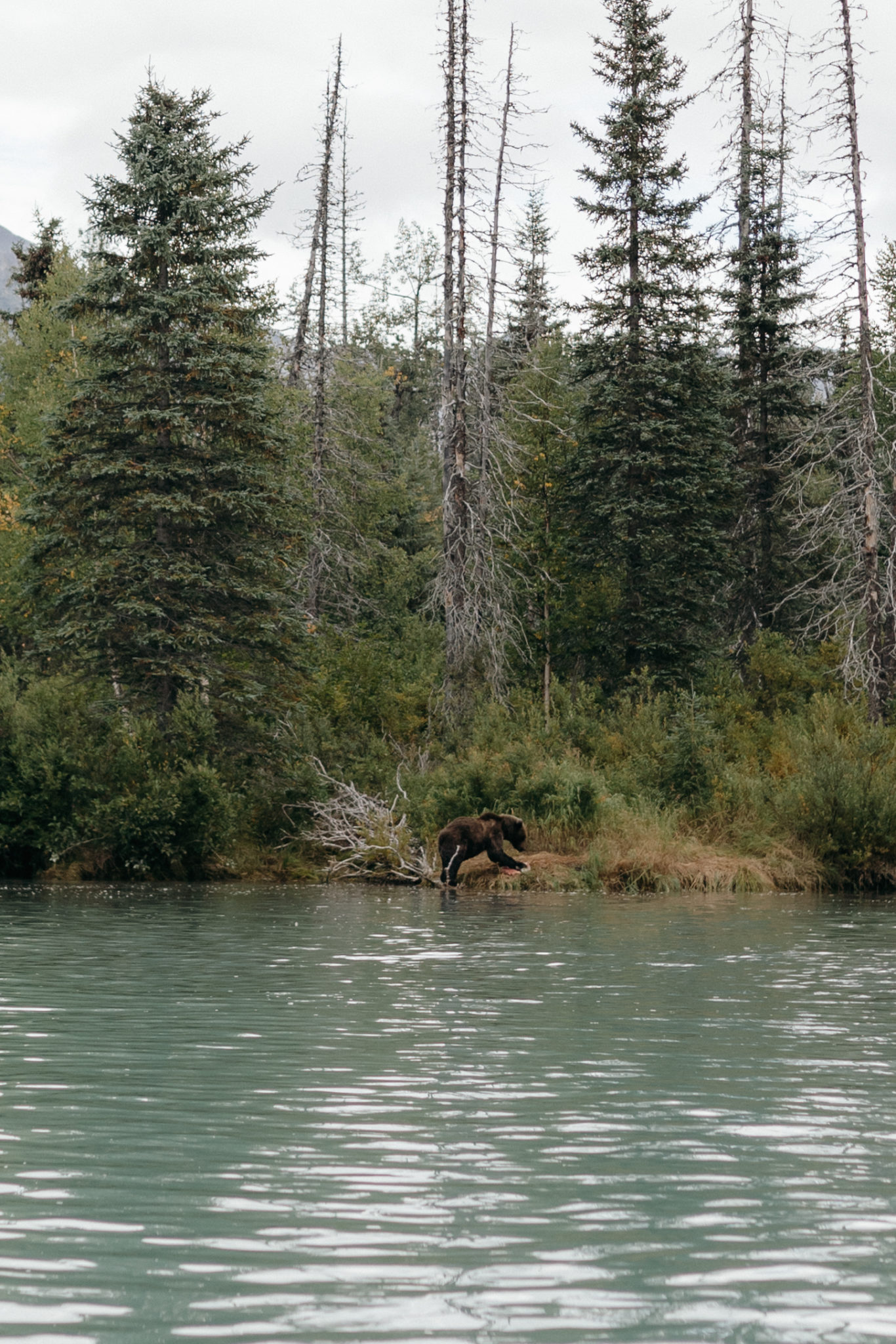 Things to do in Lake Clark National Park & Visiting Tips ...