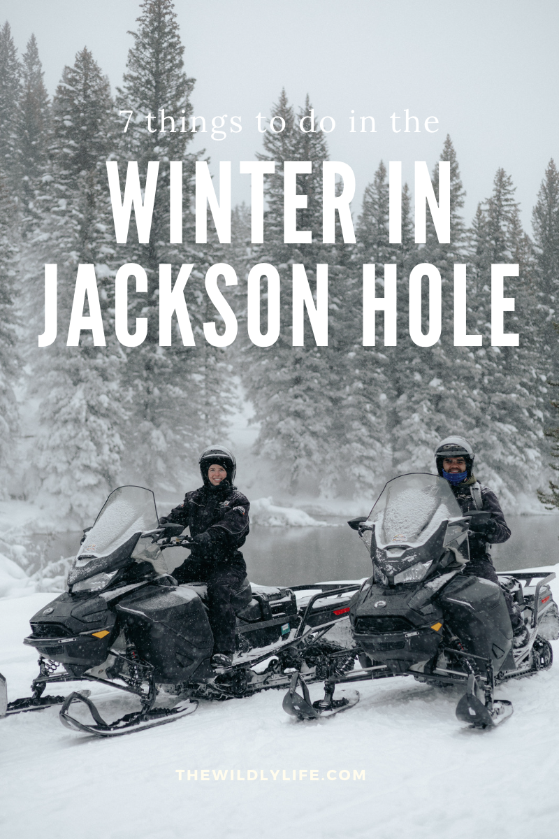 7 Things to do in the Winter in Jackson Hole, Wyoming - thewildlylife.com