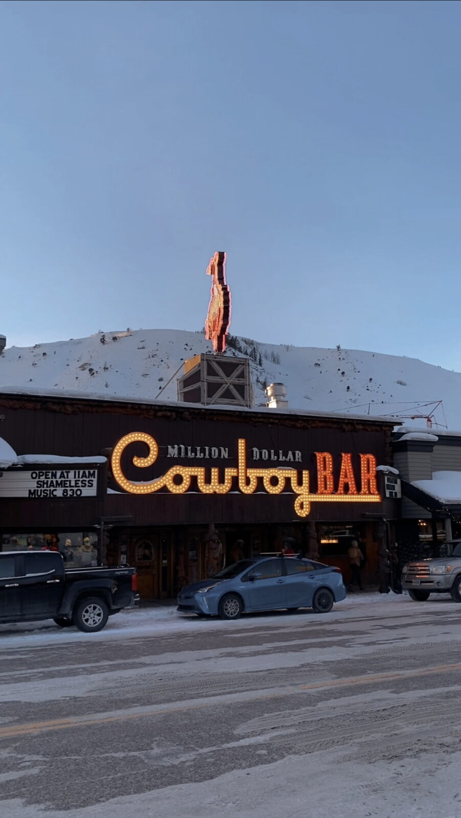 7 Things to do in the Winter in Jackson Hole, Wyoming - thewildlylife.com