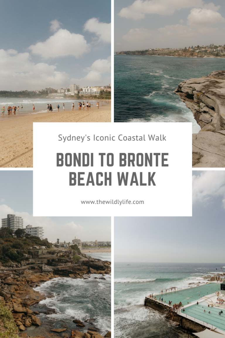 Bondi to Bronte Costal Walk | Ultimate Guide - thewildlylife.com