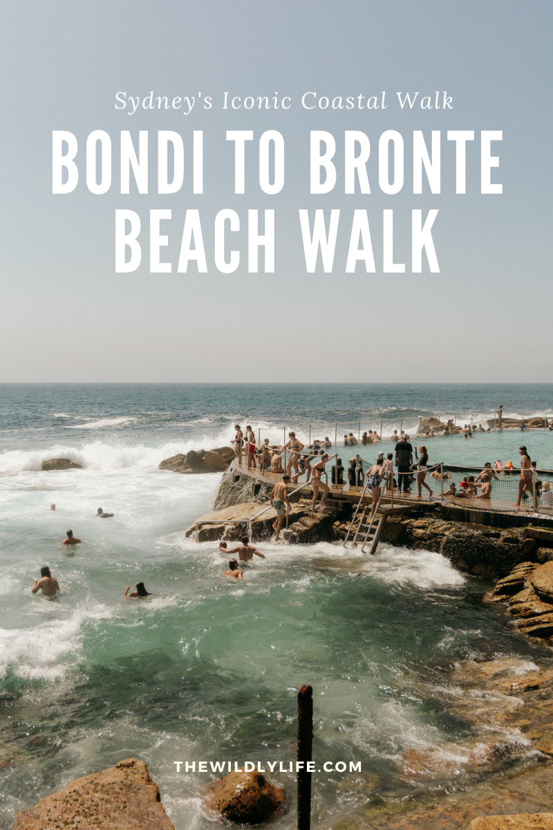 Bondi to Bronte Costal Walk | Ultimate Guide - thewildlylife.com