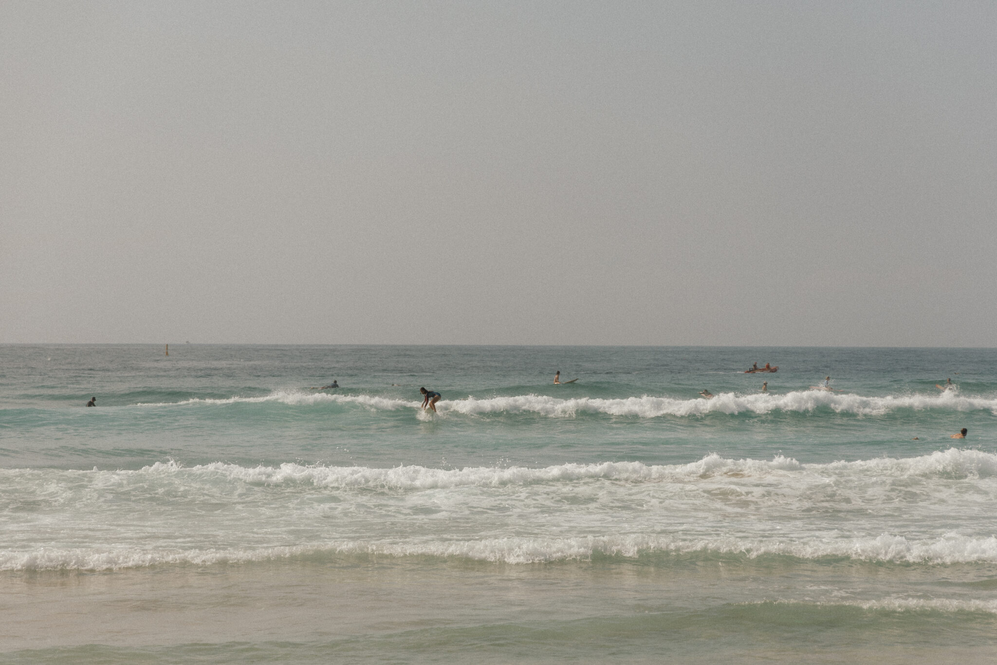 Bondi to Bronte Costal Walk | Ultimate Guide - thewildlylife.com