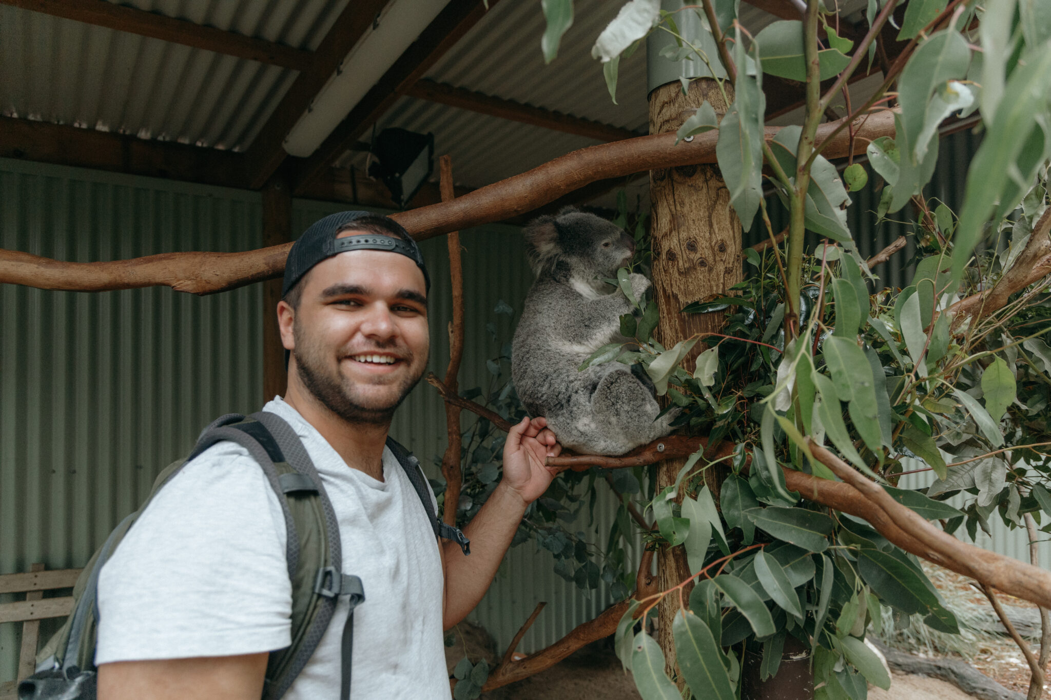 Visiting Featherdale Wildlife Park in Sydney - thewildlylife.com