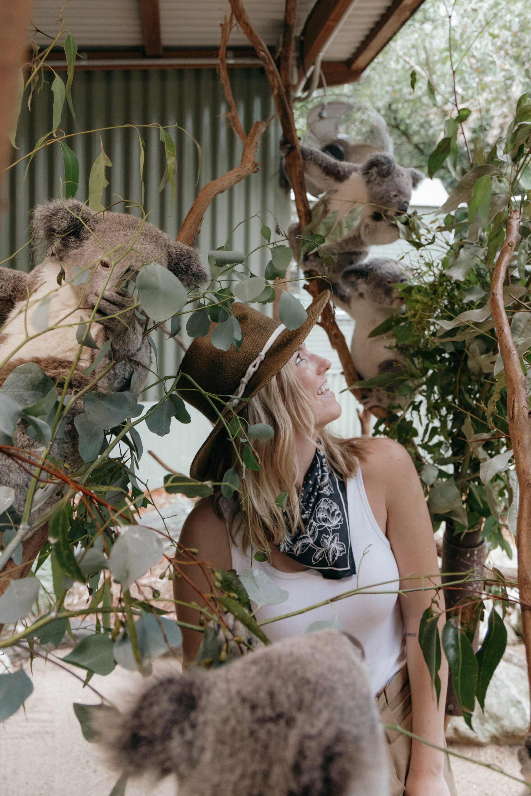 Visiting Featherdale Wildlife Park in Sydney - thewildlylife.com