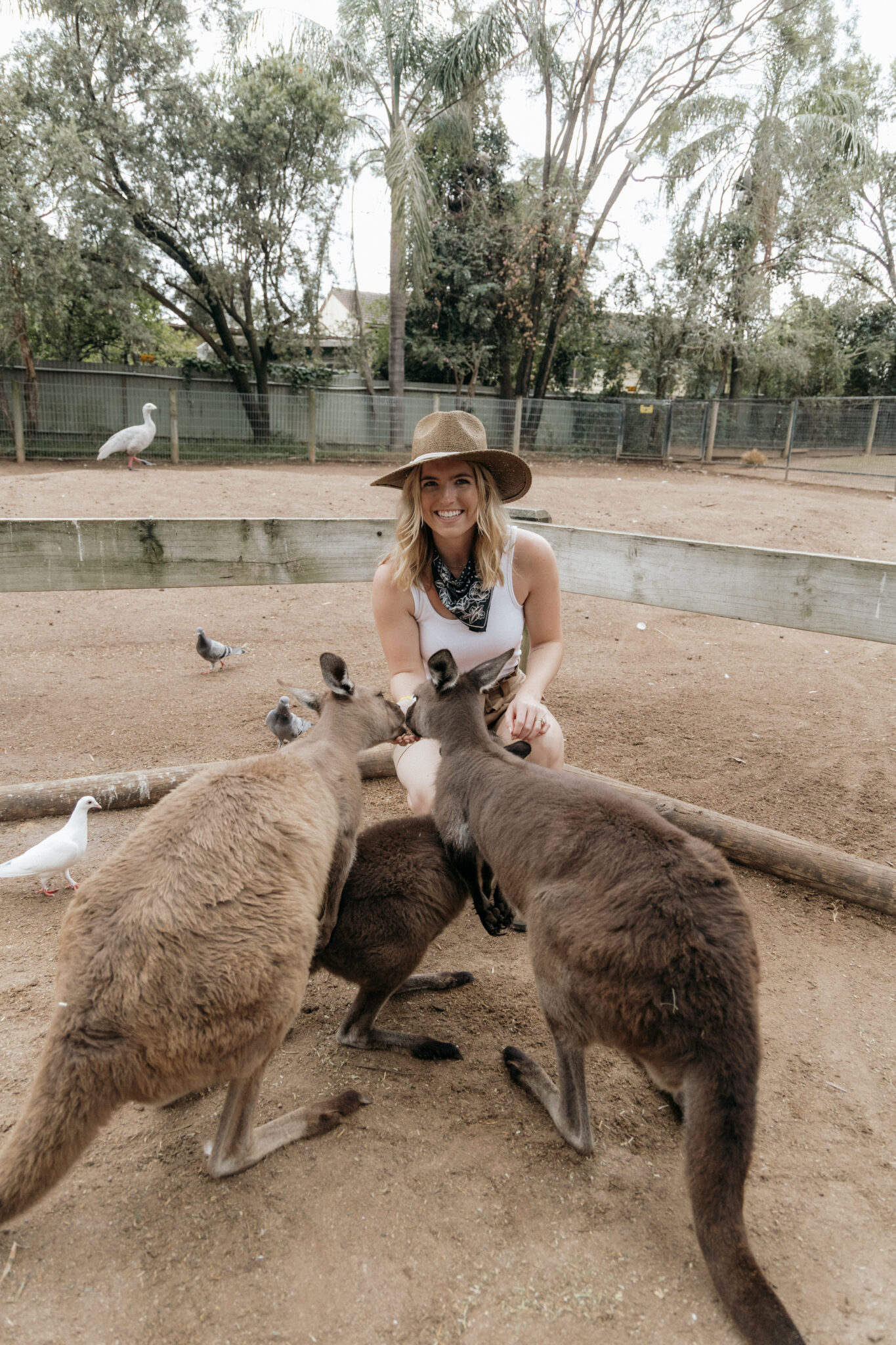 Visiting Featherdale Wildlife Park in Sydney - thewildlylife.com