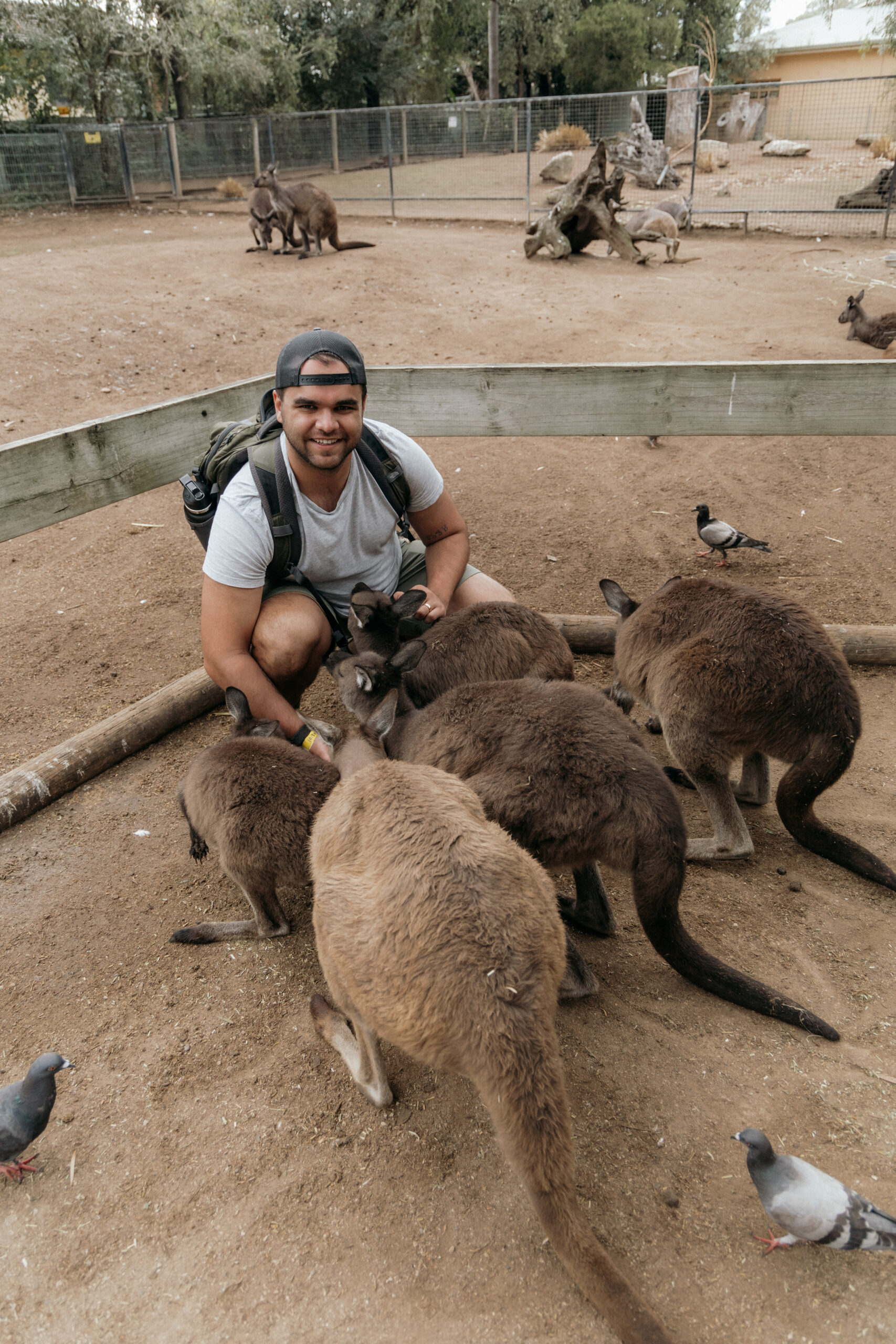 Visiting Featherdale Wildlife Park in Sydney - thewildlylife.com