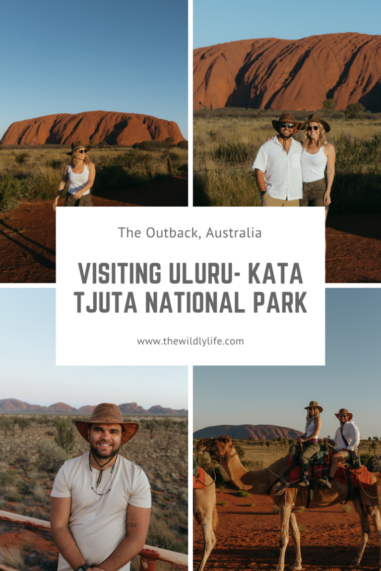 Ultimate Guide to Uluru - Australia Iconic Rock - thewildlylife.com