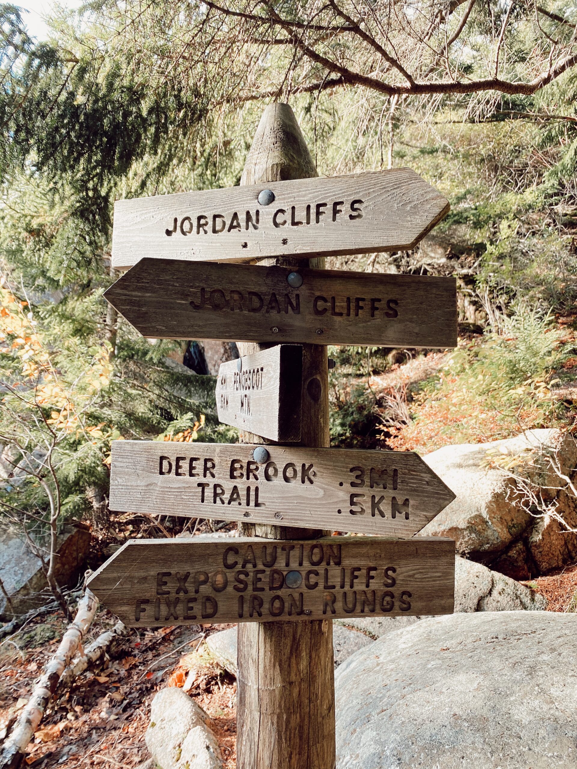 Things to Do in Acadia National Park in the Fall - thewildlylife.com