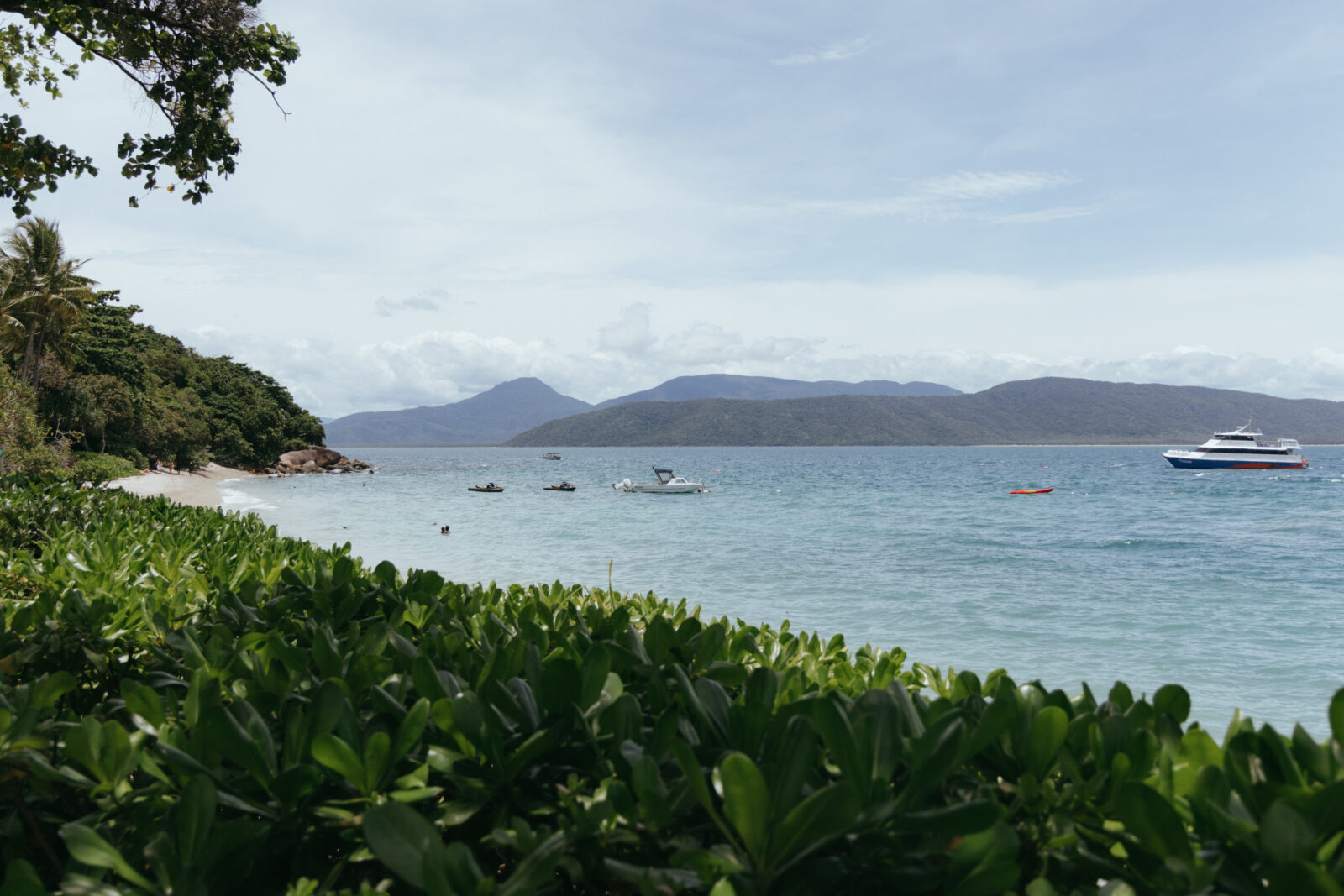 Best Things to do on Fitzroy Island - thewildlylife.com