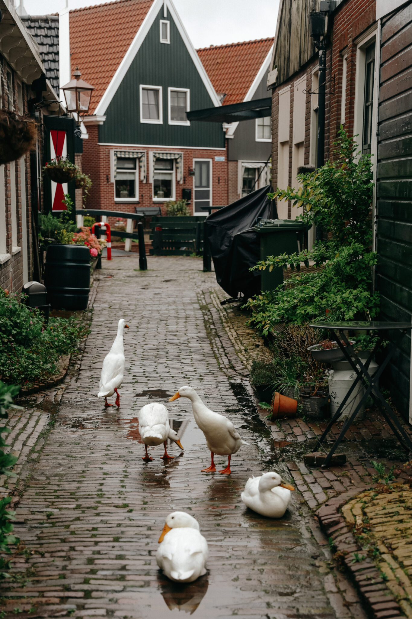 The Cutest Towns in the Netherlands - thewildlylife.com